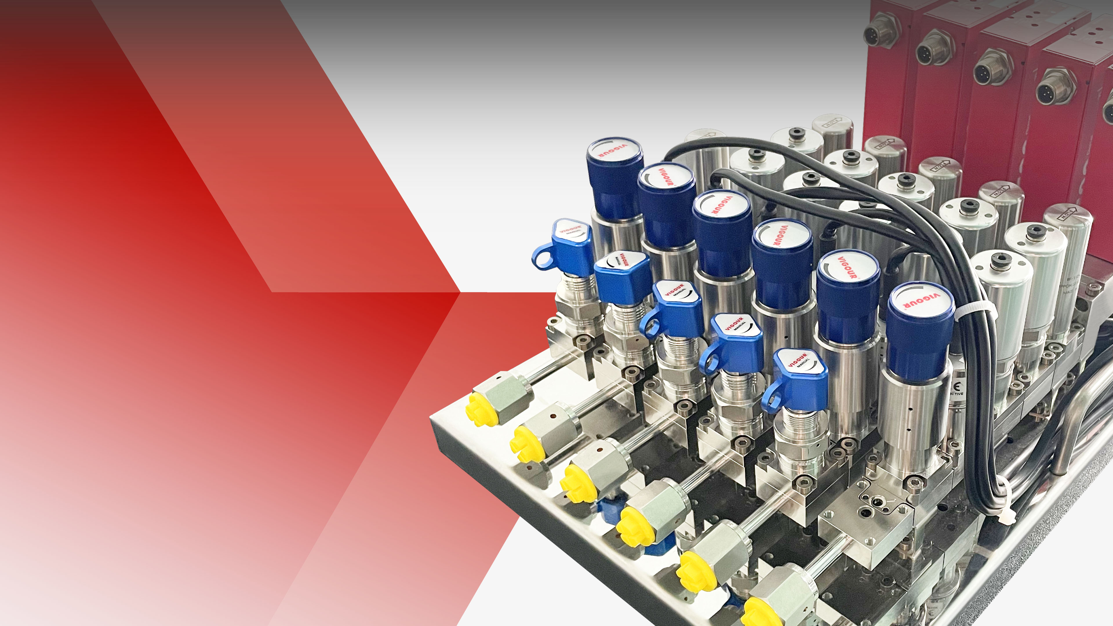 Home [www.vigourco.com]