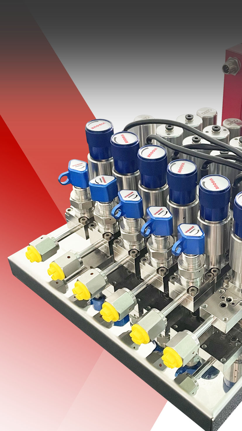 Home [www.vigourco.com]